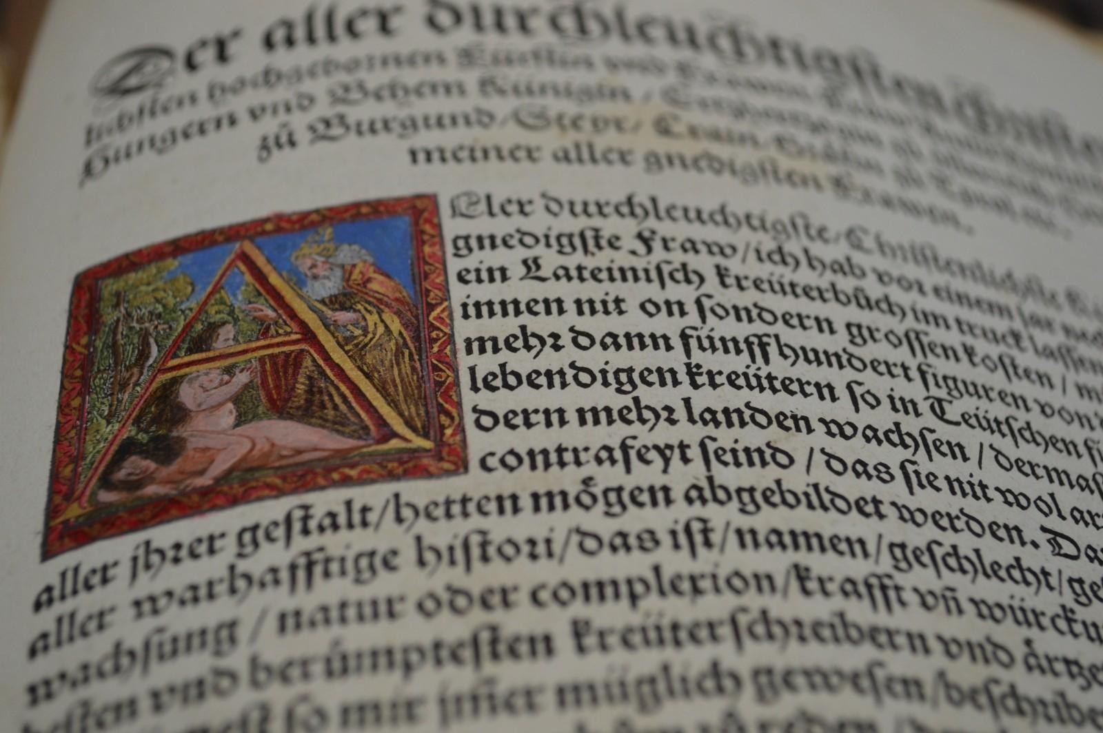 The Latin Alphabet: History and Evolution