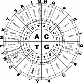 The Most Famous Chemists: Ten People who Changed Chemistry and the Way ...