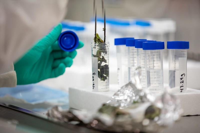 Is Microbiology Hard In The United States? | Superprof